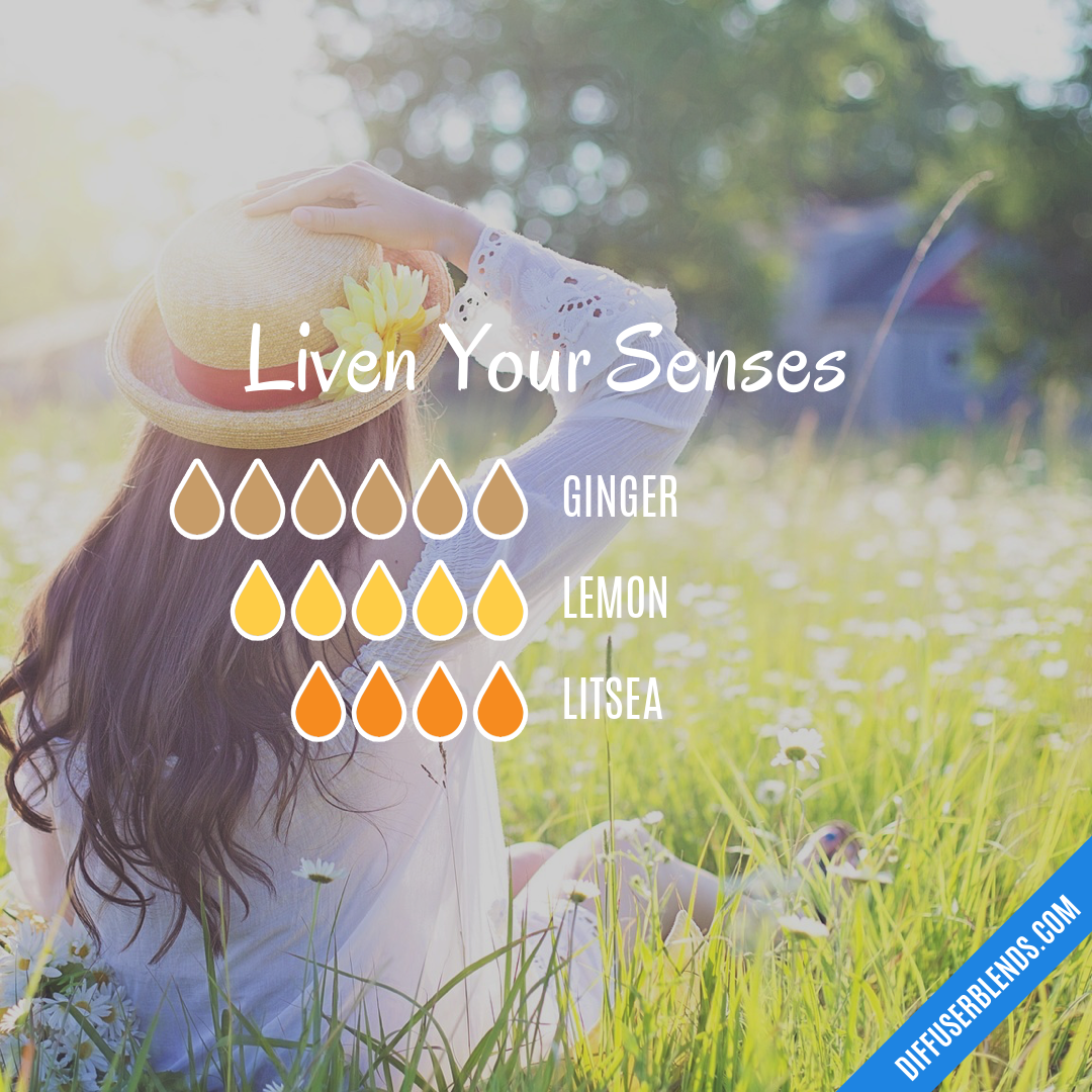 Liven Your Senses | DiffuserBlends.com