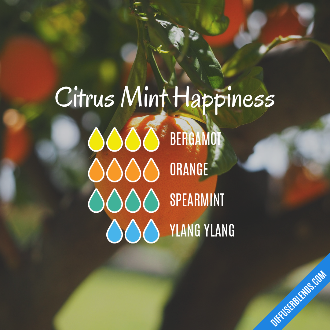 Citrus Mint Happiness | DiffuserBlends.com