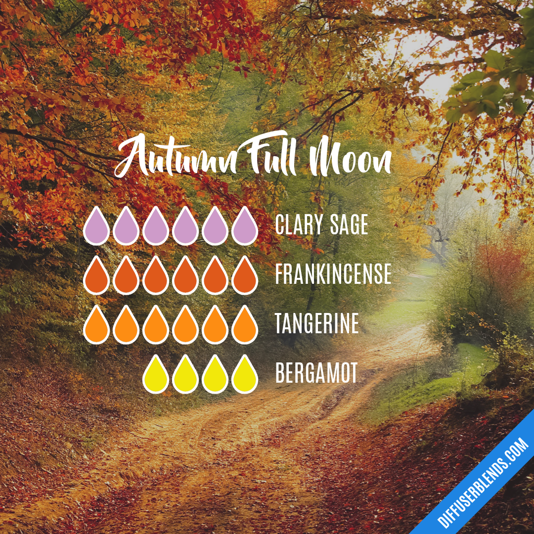 Autumn Full Moon | DiffuserBlends.com