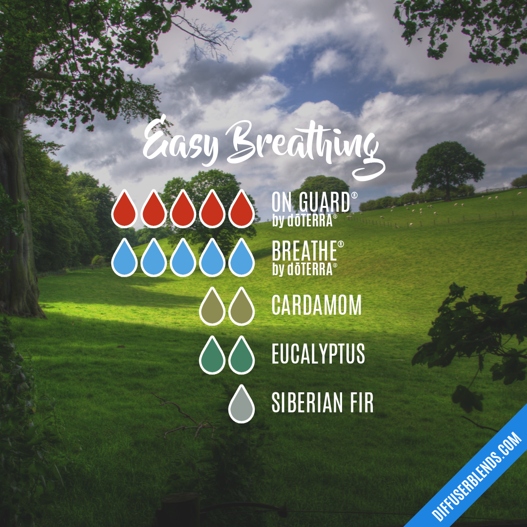Easy Breathing | DiffuserBlends.com
