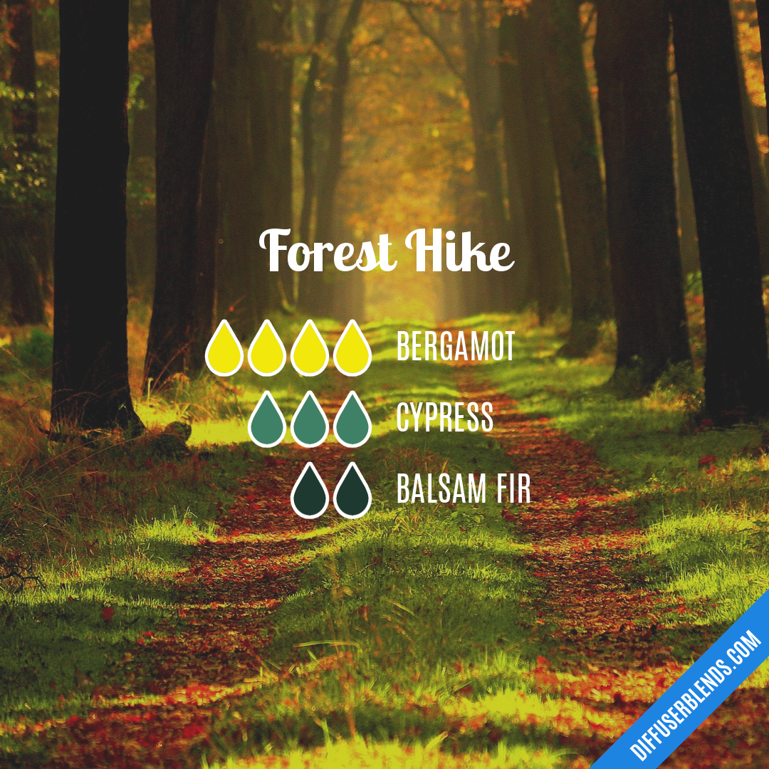 Forest Hike | DiffuserBlends.com