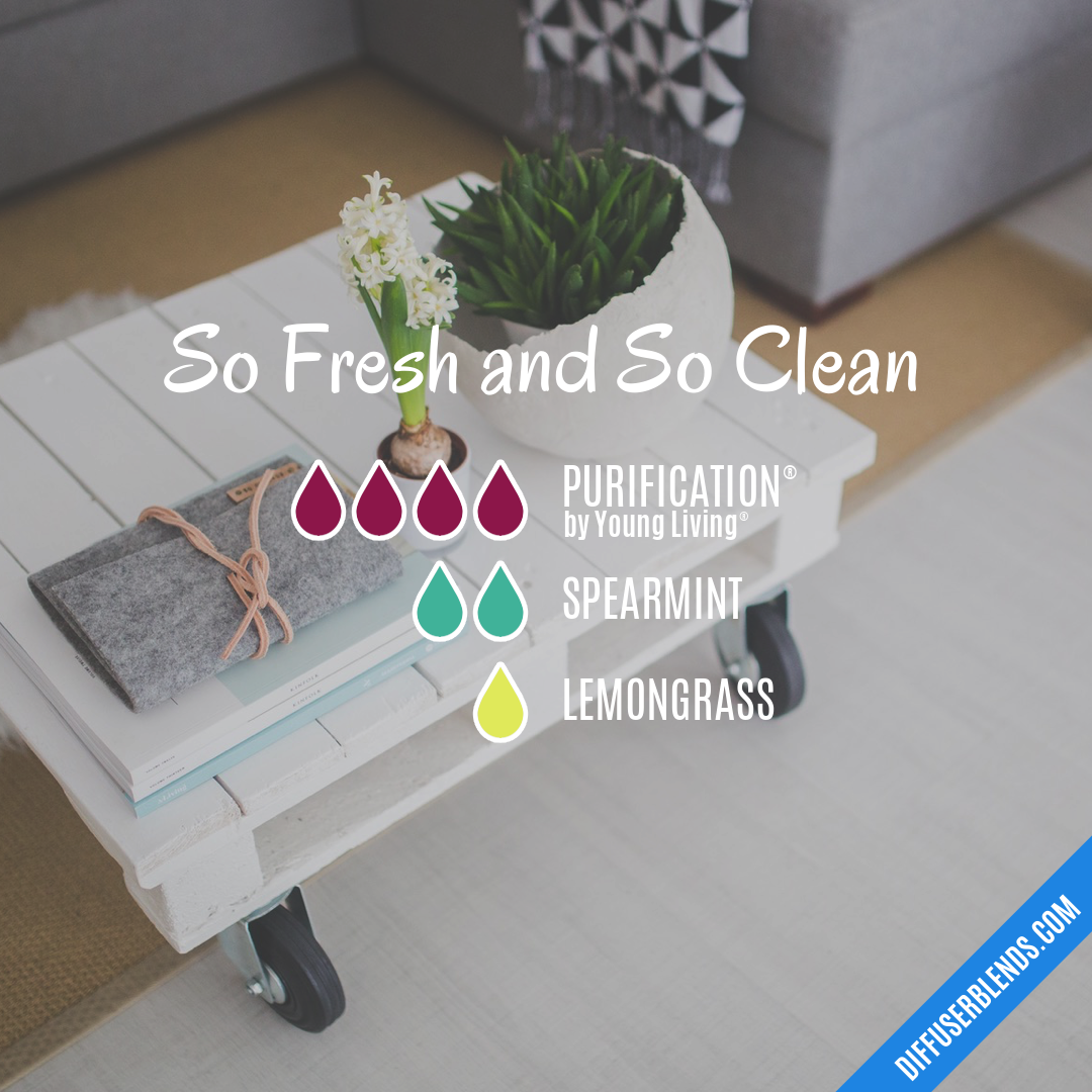 So Fresh and So Clean | DiffuserBlends.com