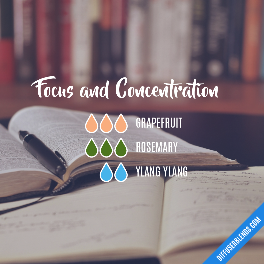 Focus and Concentration | DiffuserBlends.com