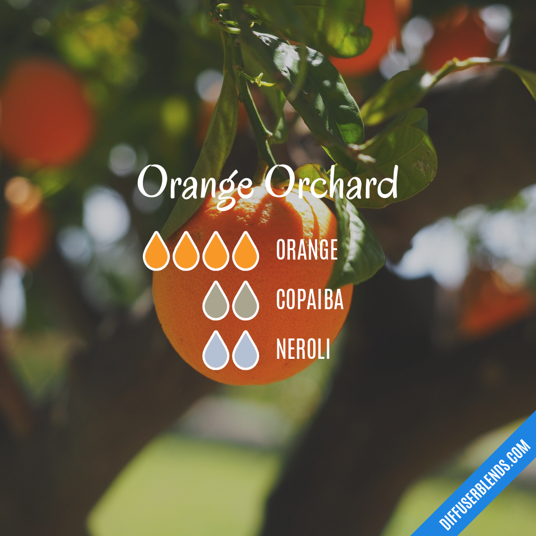 Orange Orchard | DiffuserBlends.com