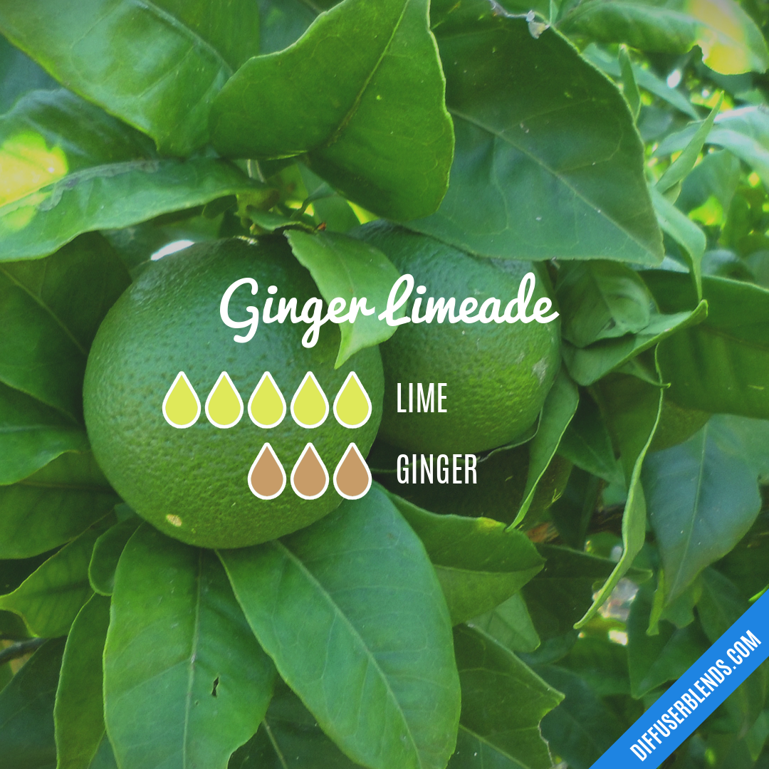 Ginger Limeade | DiffuserBlends.com