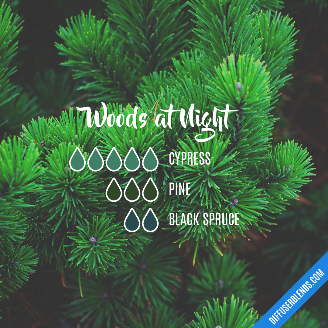 Woods at Night | DiffuserBlends.com