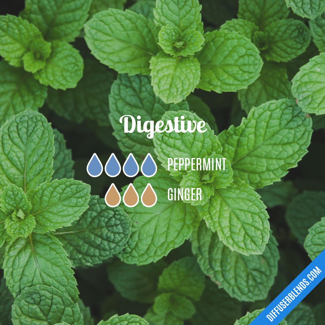Digestive | DiffuserBlends.com