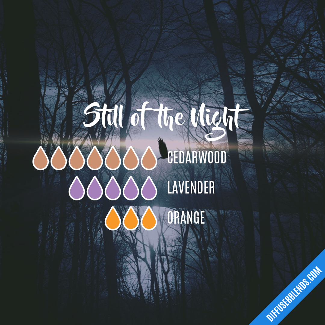 Still of the Night | DiffuserBlends.com