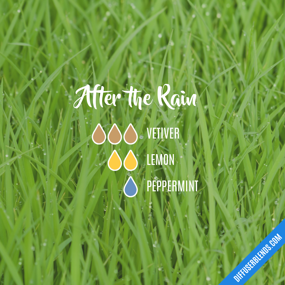 After the Rain | DiffuserBlends.com