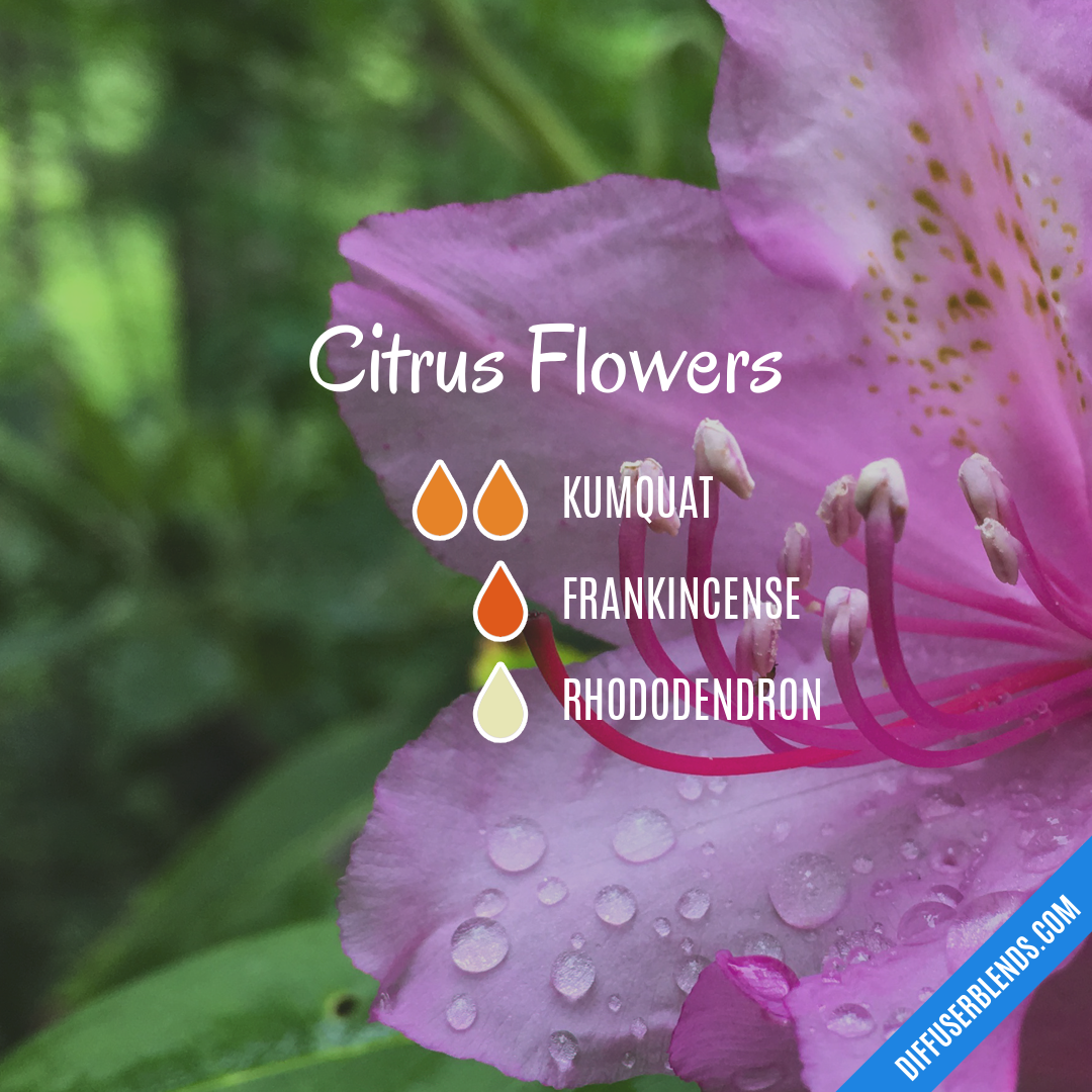 Citrus Flowers | DiffuserBlends.com