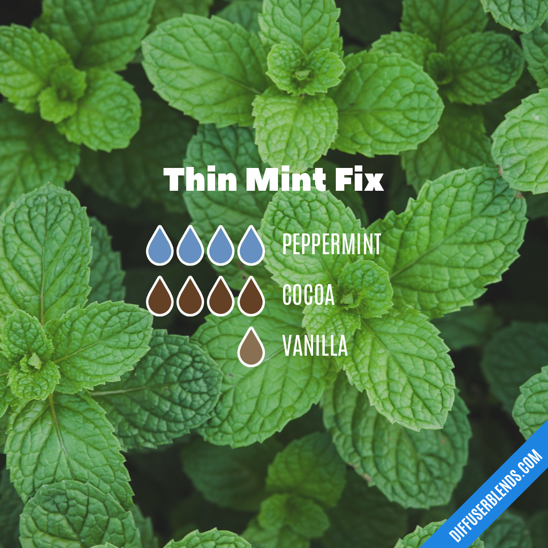 Thin Mint Fix | DiffuserBlends.com