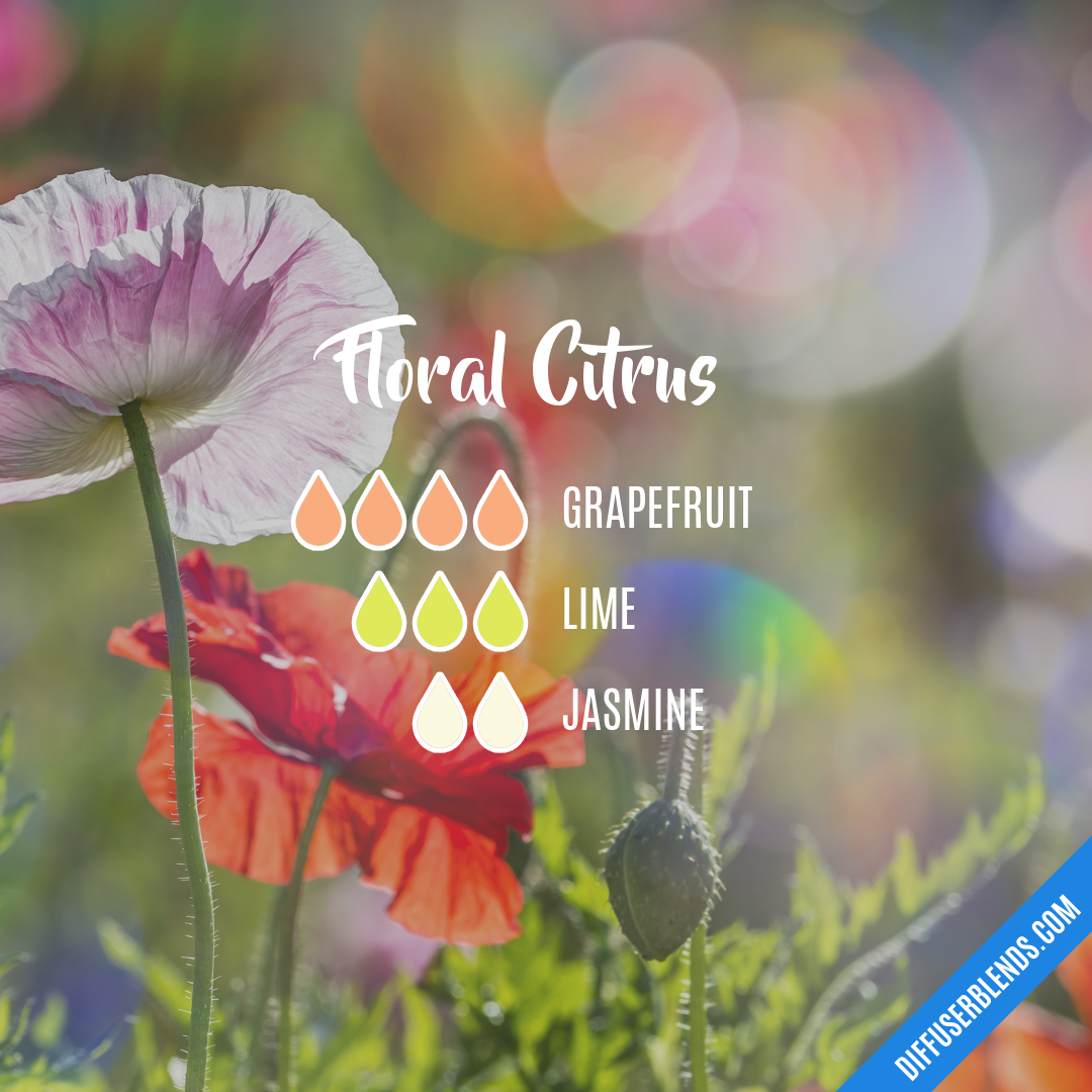 Floral Citrus | DiffuserBlends.com