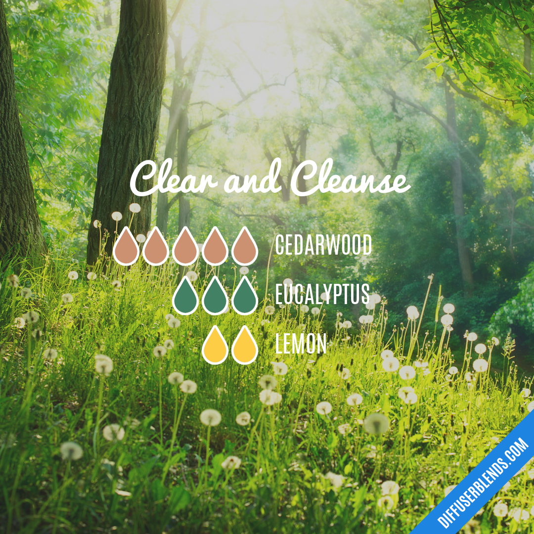 Clear and Cleanse | DiffuserBlends.com