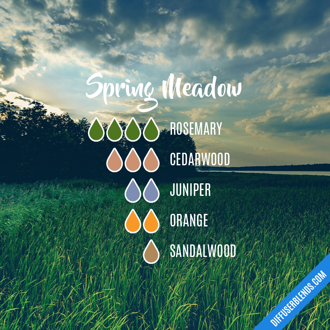 Spring Meadow | DiffuserBlends.com