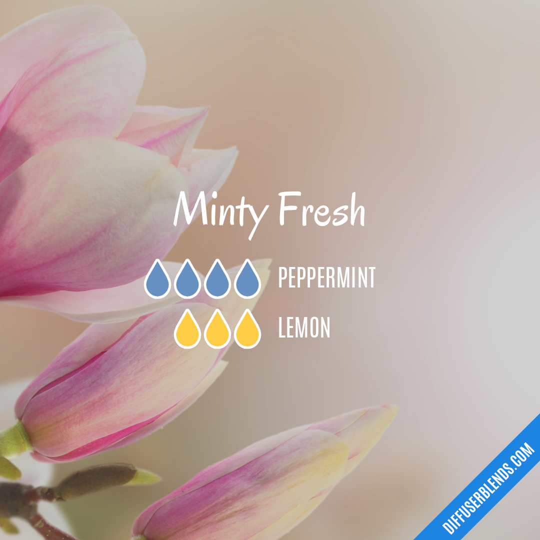 Minty Fresh | DiffuserBlends.com