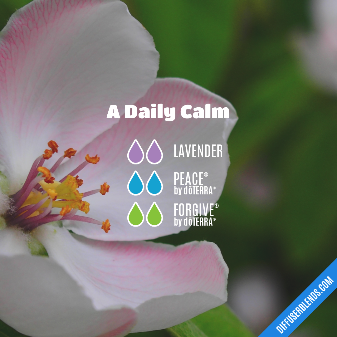 A Daily Calm | DiffuserBlends.com