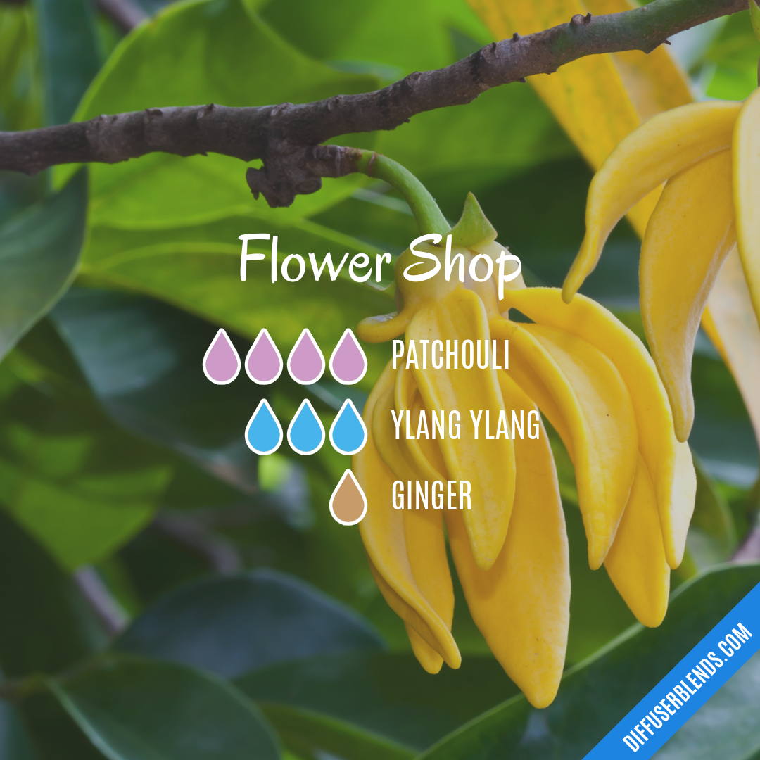 Flower Shop | DiffuserBlends.com