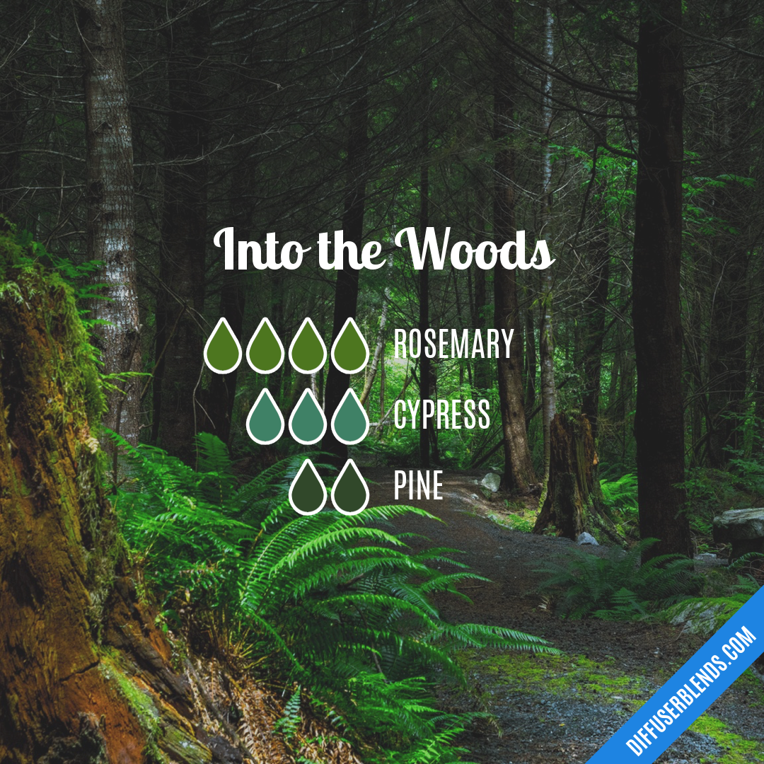 Into the Woods | DiffuserBlends.com