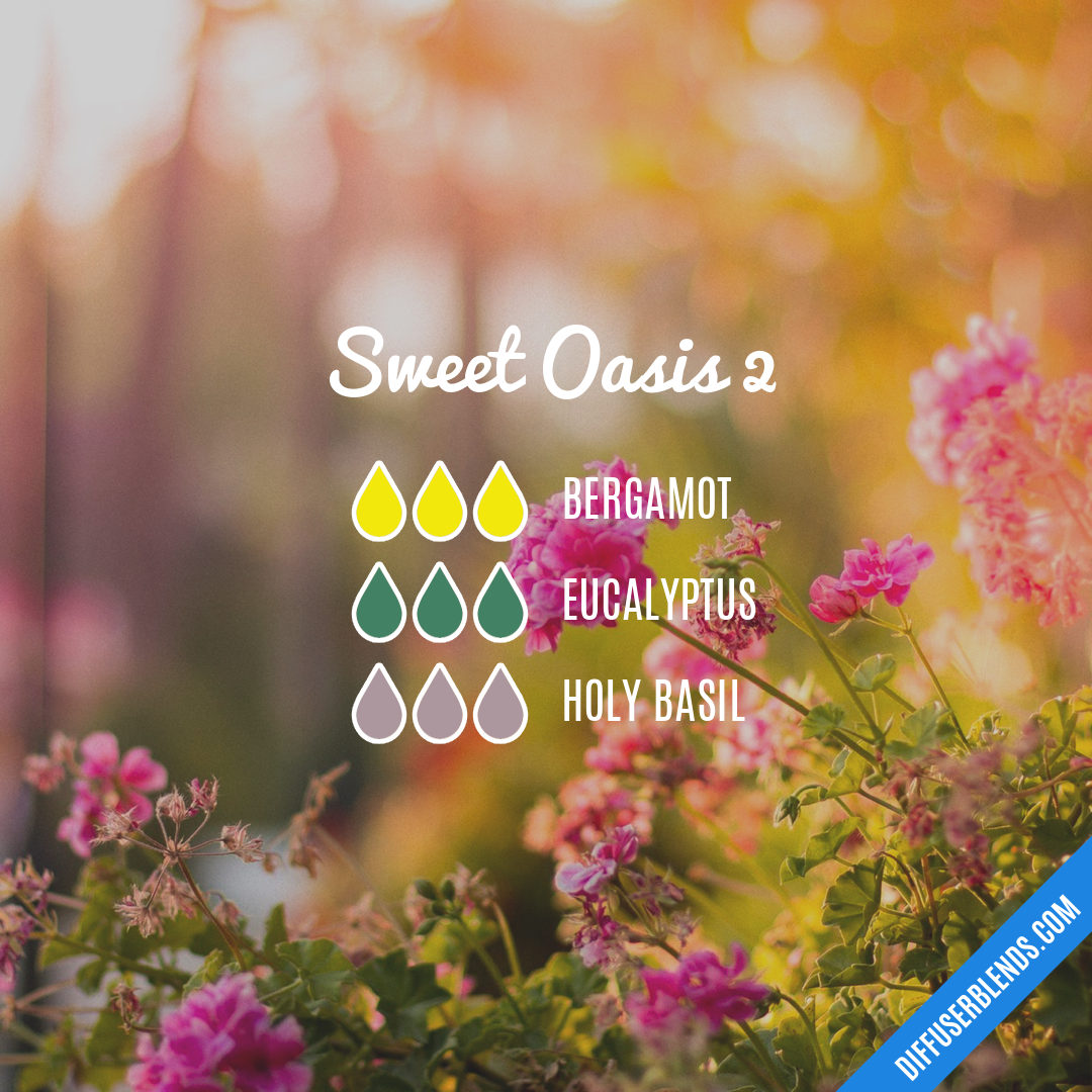Sweet Oasis 2 | DiffuserBlends.com