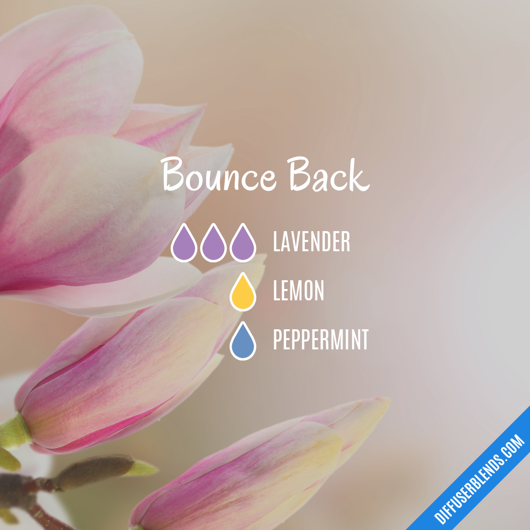 Bounce Back | DiffuserBlends.com