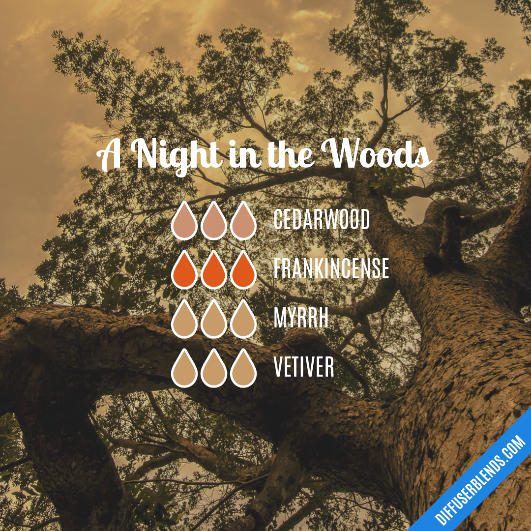 A Night in the Woods | DiffuserBlends.com
