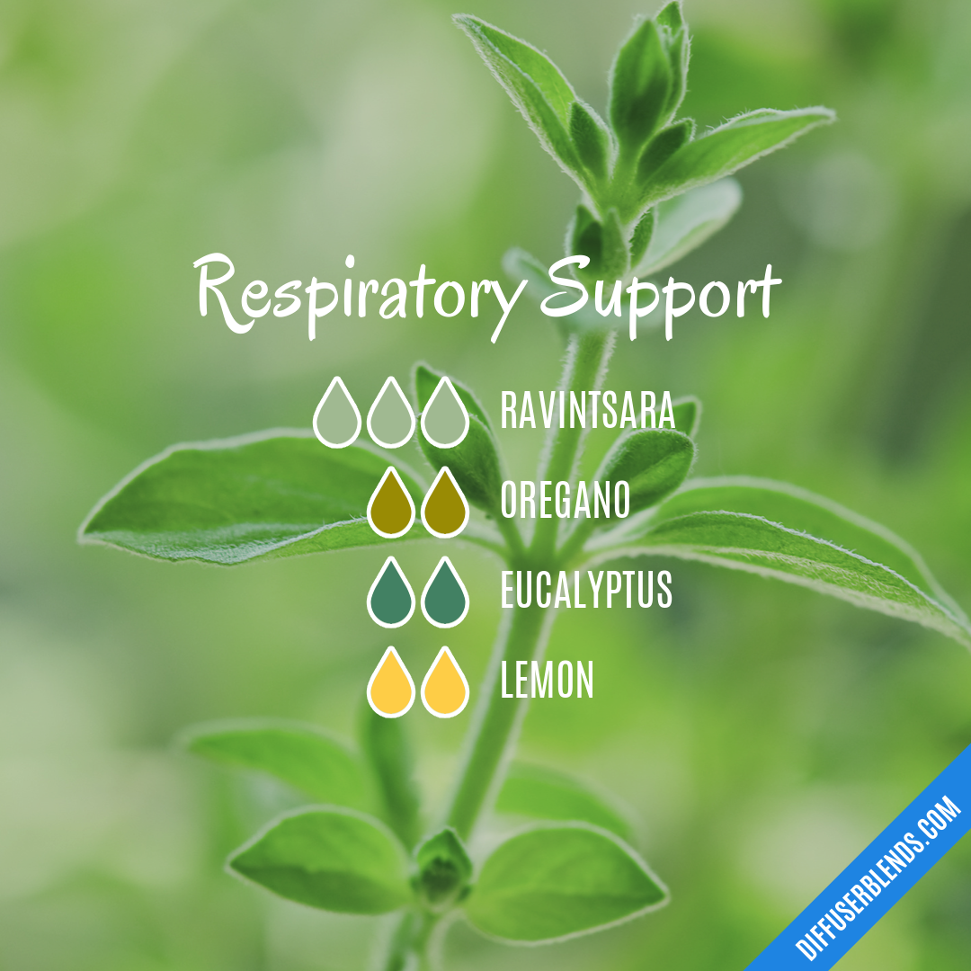 Respiratory Support | DiffuserBlends.com