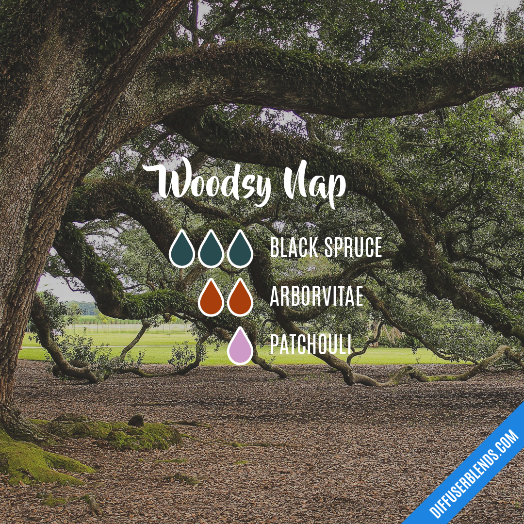 Woodsy Nap | DiffuserBlends.com