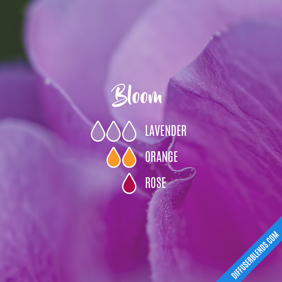 Bloom | DiffuserBlends.com