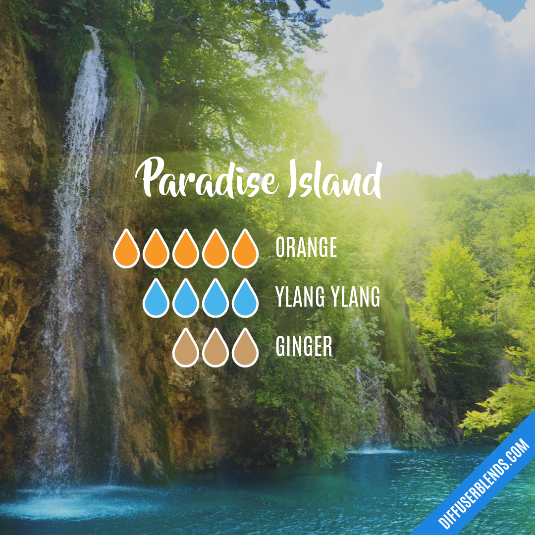 Paradise Island | DiffuserBlends.com