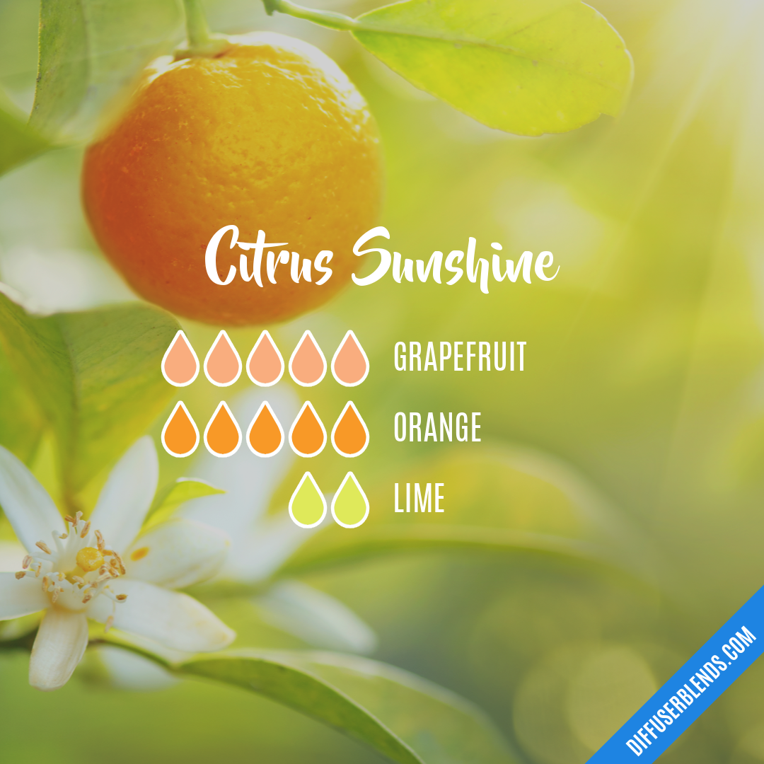 Citrus Sunshine | DiffuserBlends.com