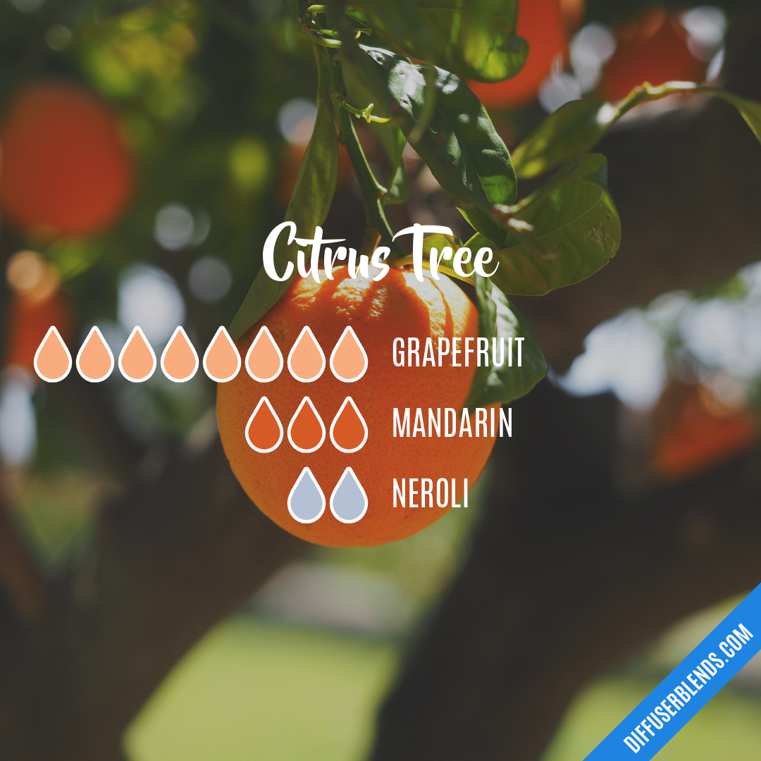 Citrus Tree | DiffuserBlends.com