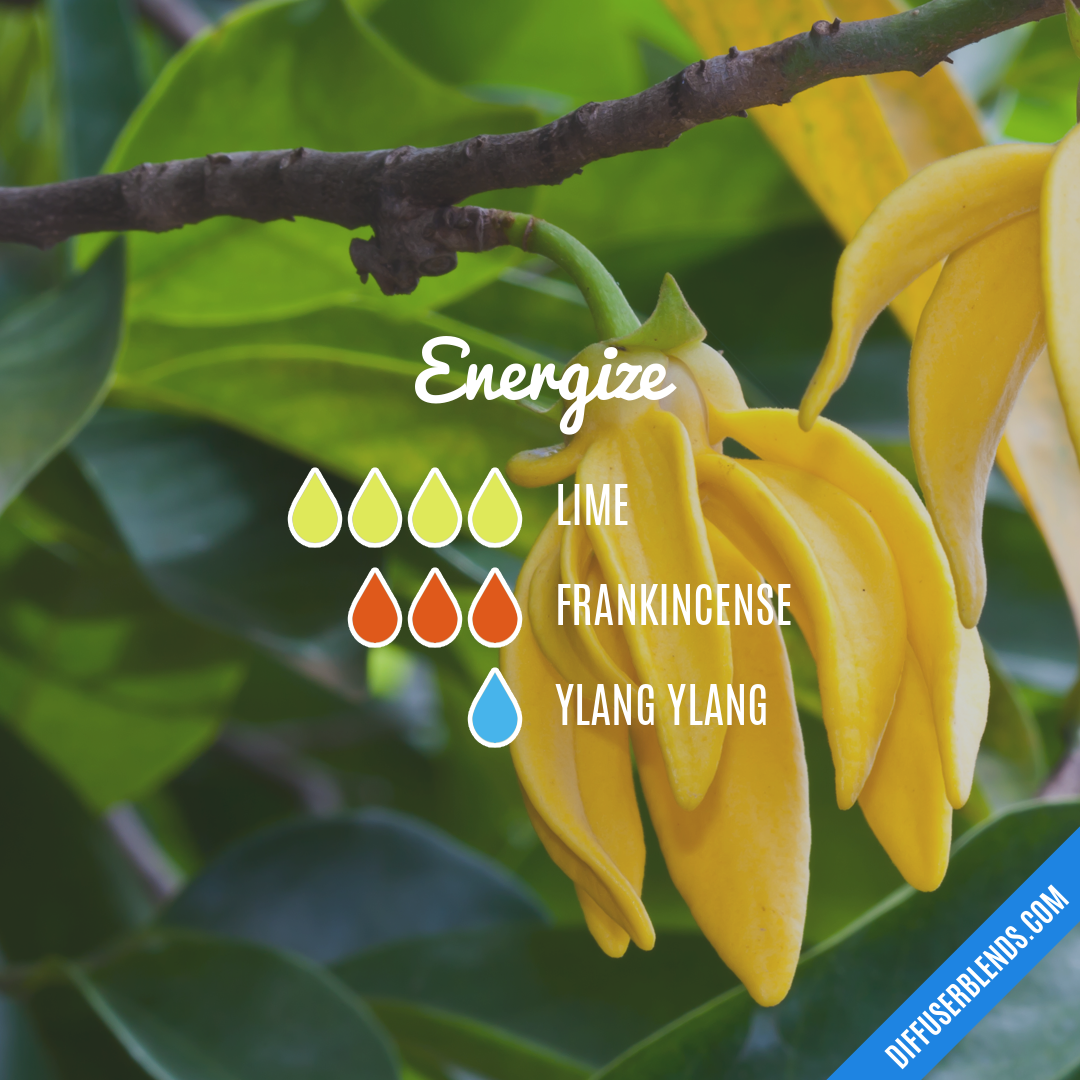 Energize | DiffuserBlends.com