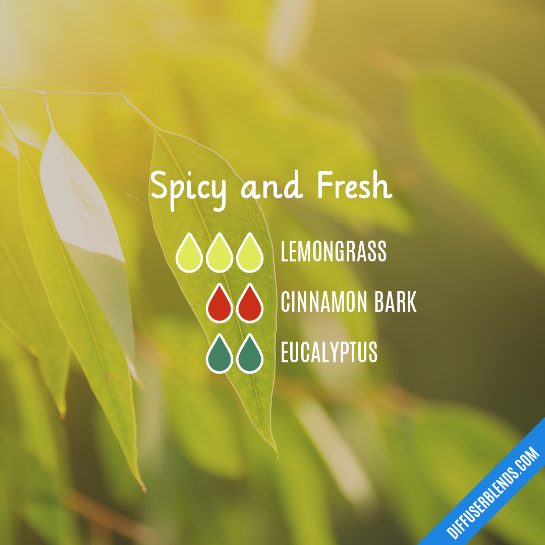 Spicy and Fresh | DiffuserBlends.com