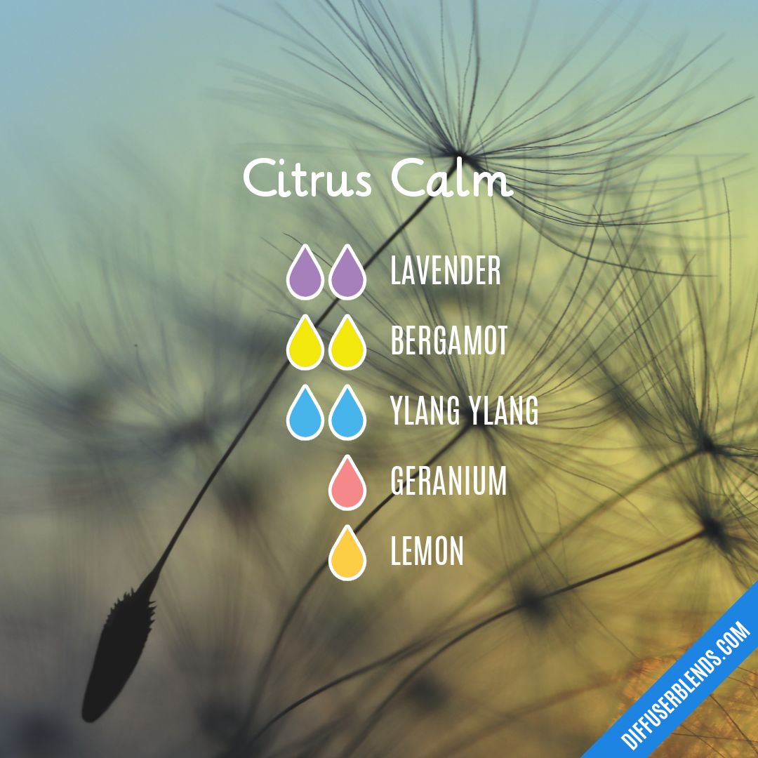 Citrus Calm | DiffuserBlends.com