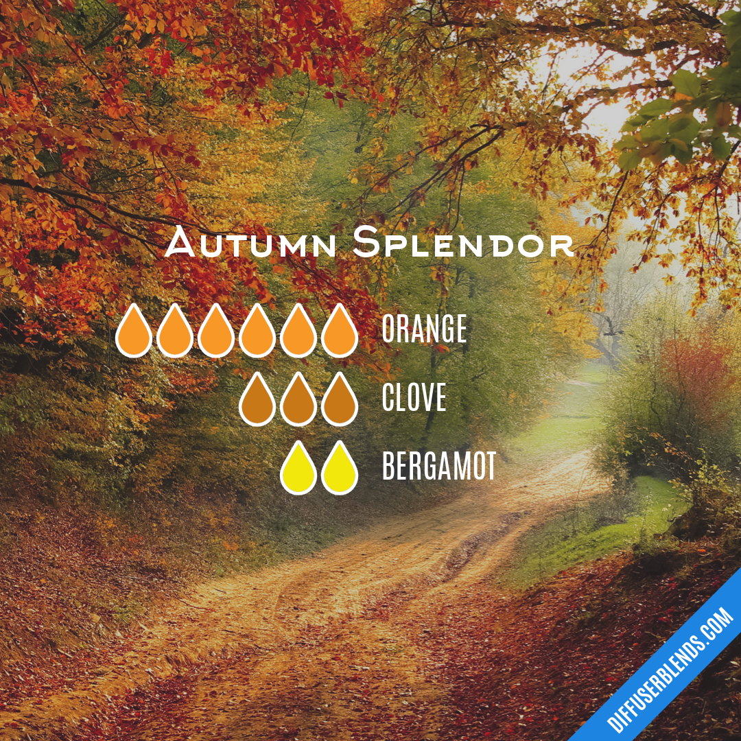 Autumn Splendor | DiffuserBlends.com