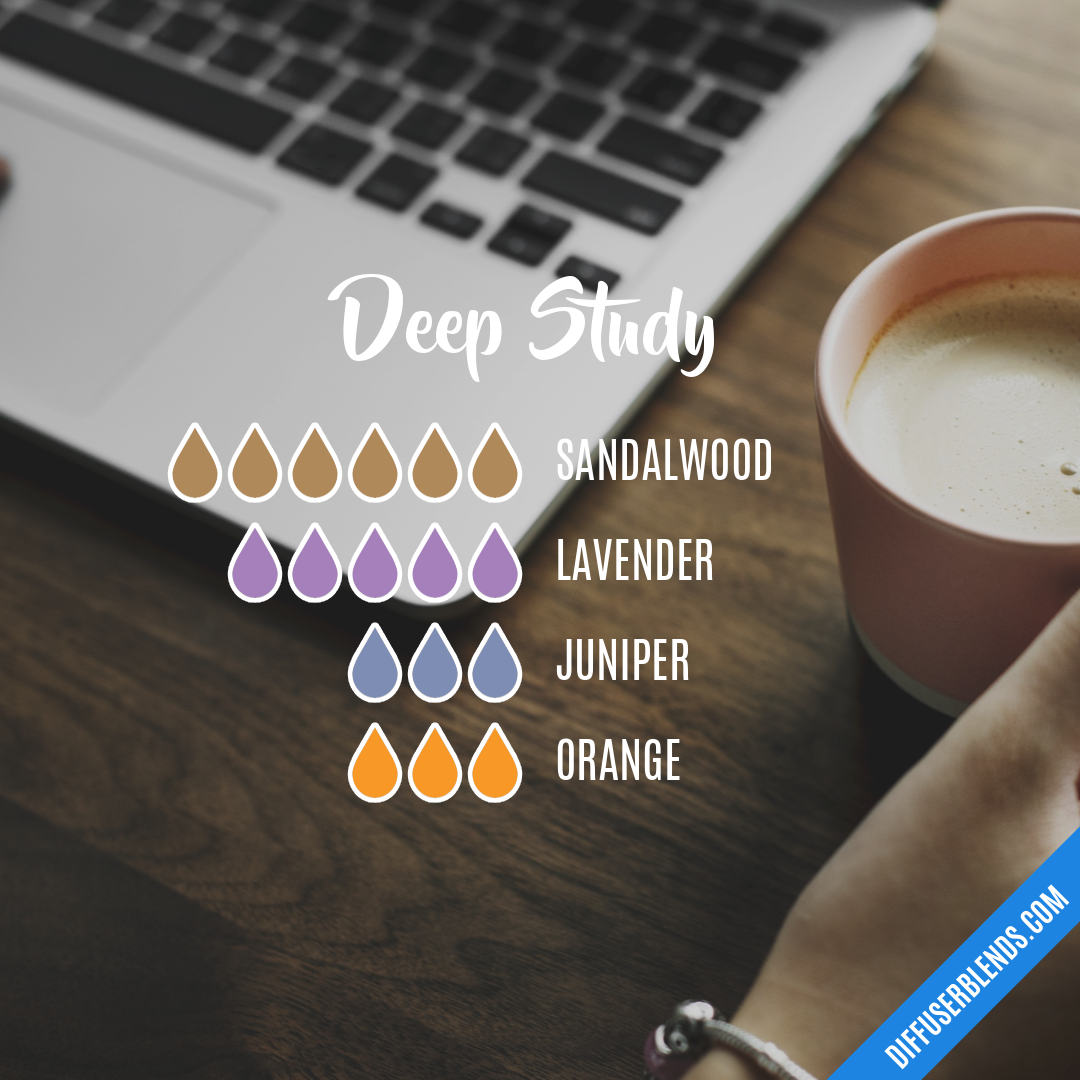 Deep Study | DiffuserBlends.com