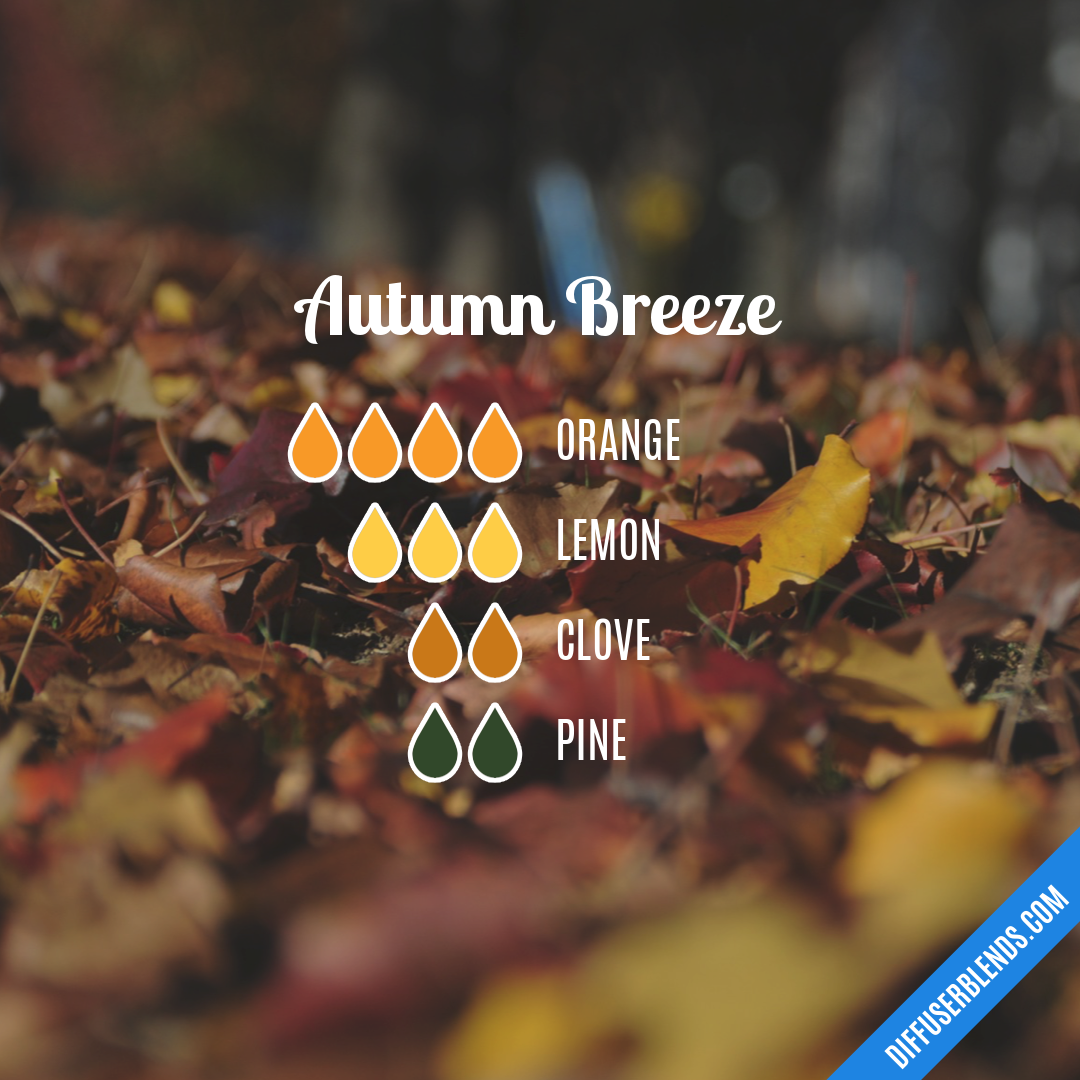 Autumn Breeze | DiffuserBlends.com