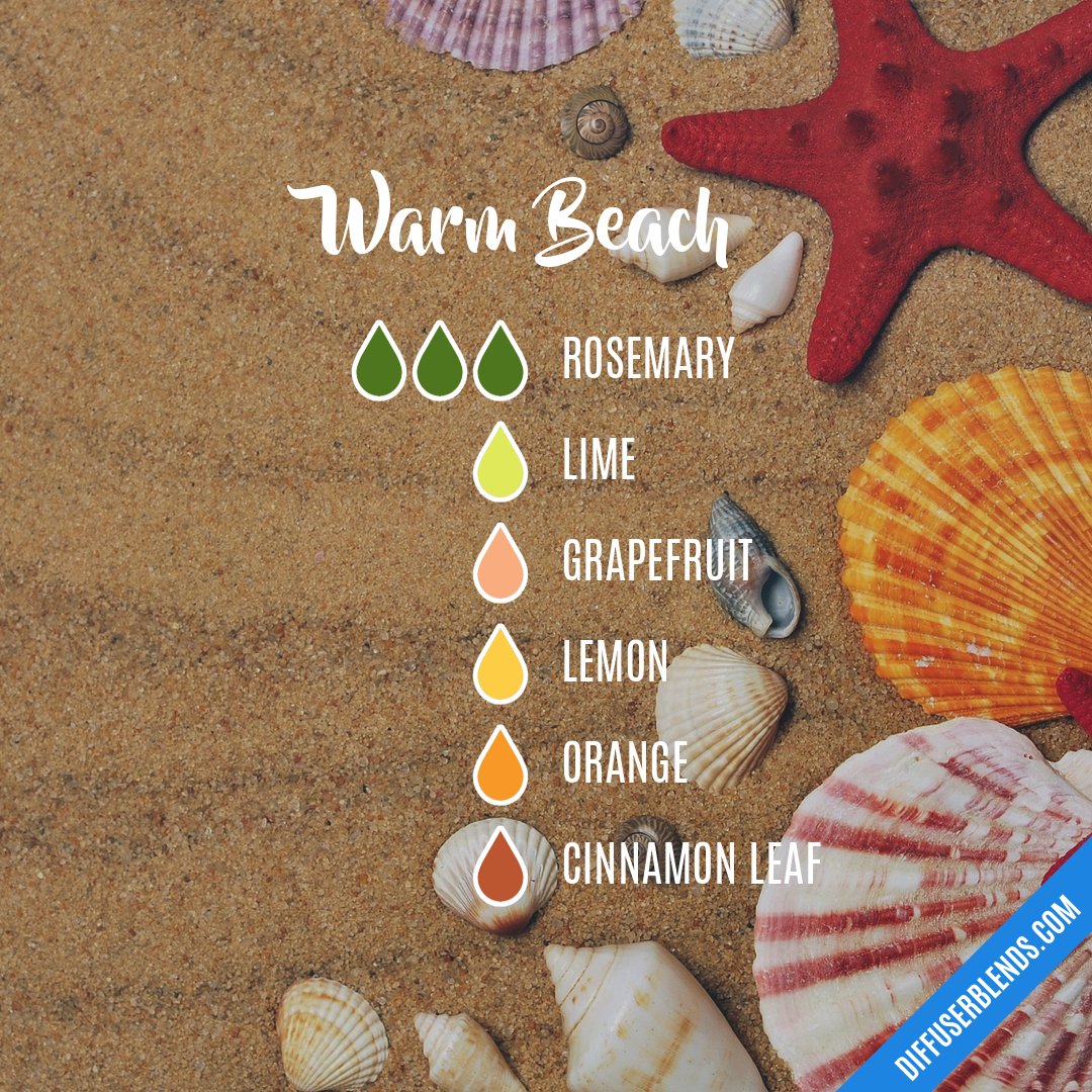 Warm Beach | DiffuserBlends.com