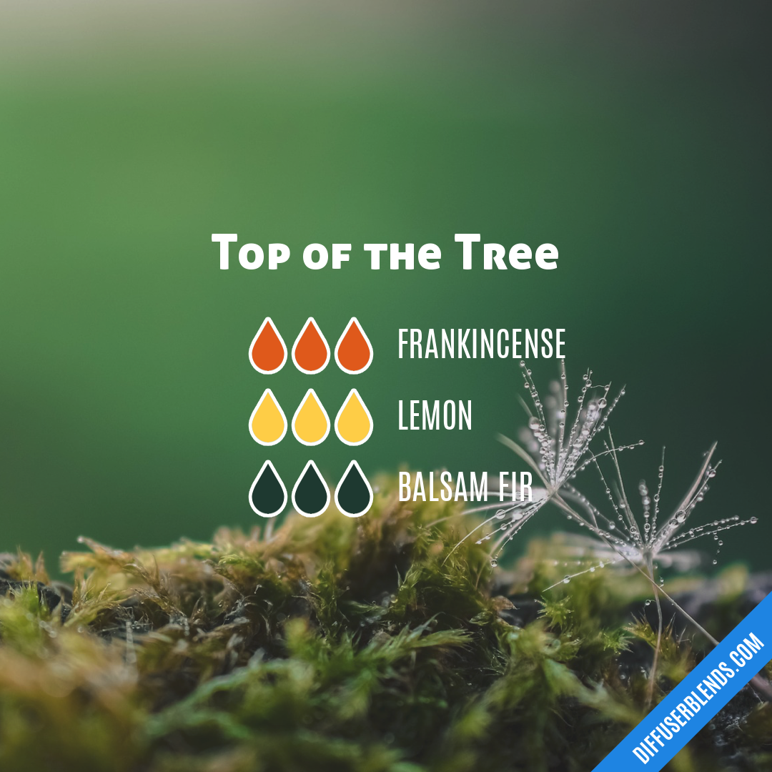 Top of the Tree | DiffuserBlends.com
