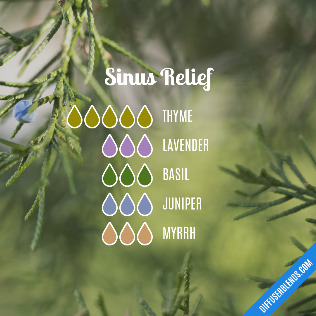 Sinus Relief | DiffuserBlends.com