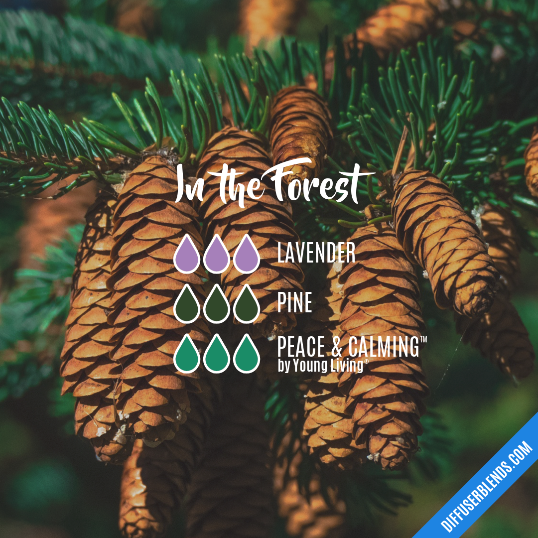 In the Forest | DiffuserBlends.com