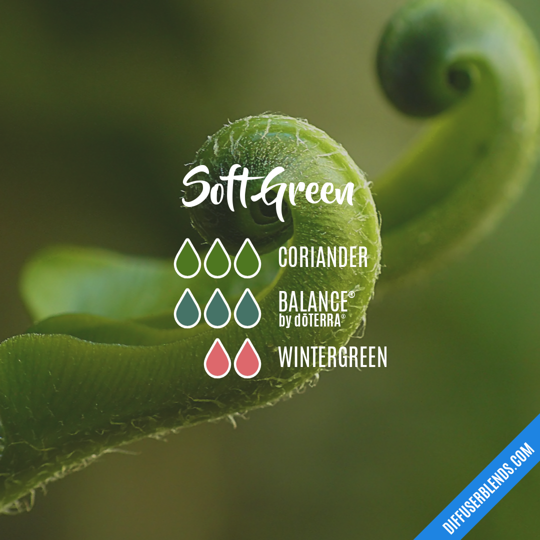 Soft Green | DiffuserBlends.com