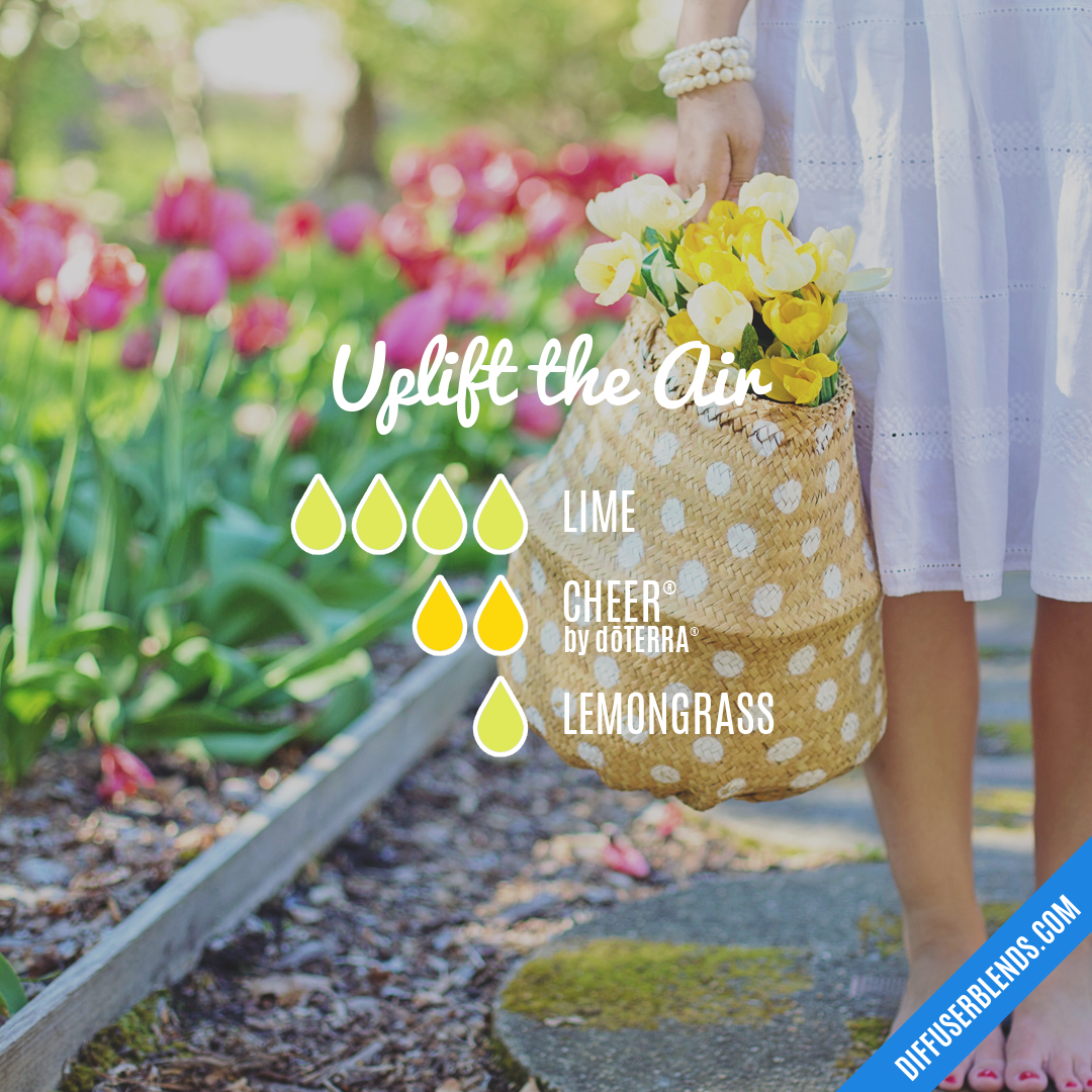 Uplift the Air | DiffuserBlends.com