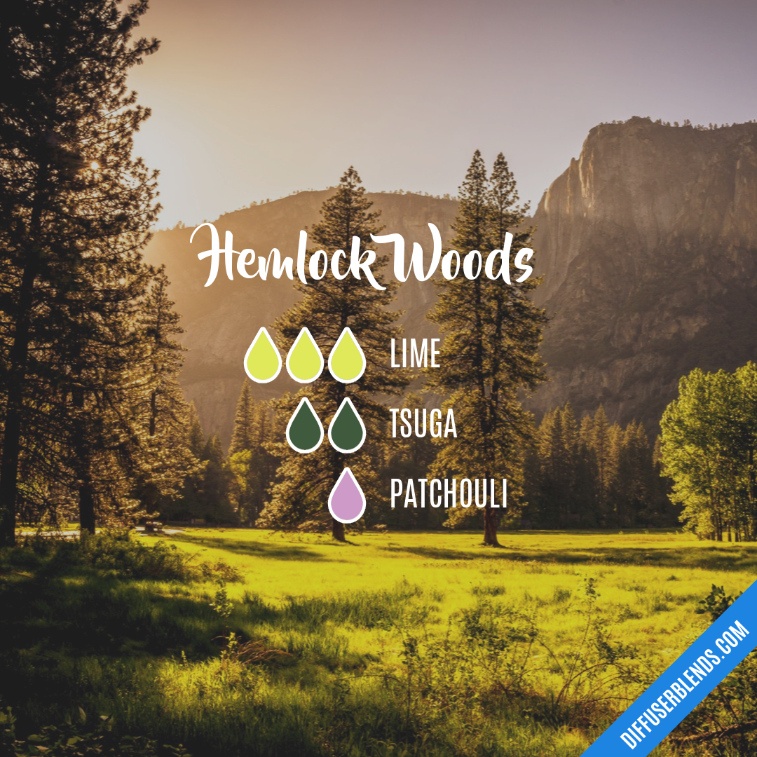Hemlock Woods | DiffuserBlends.com
