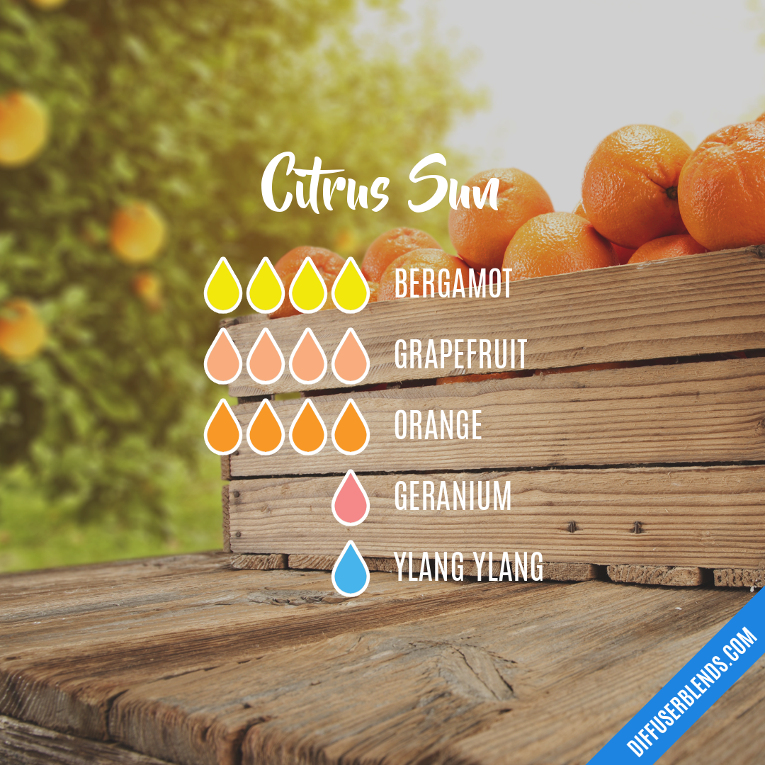 Citrus Sun | DiffuserBlends.com