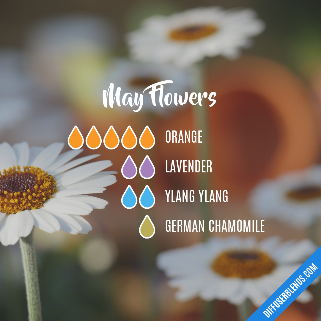 May Flowers | DiffuserBlends.com