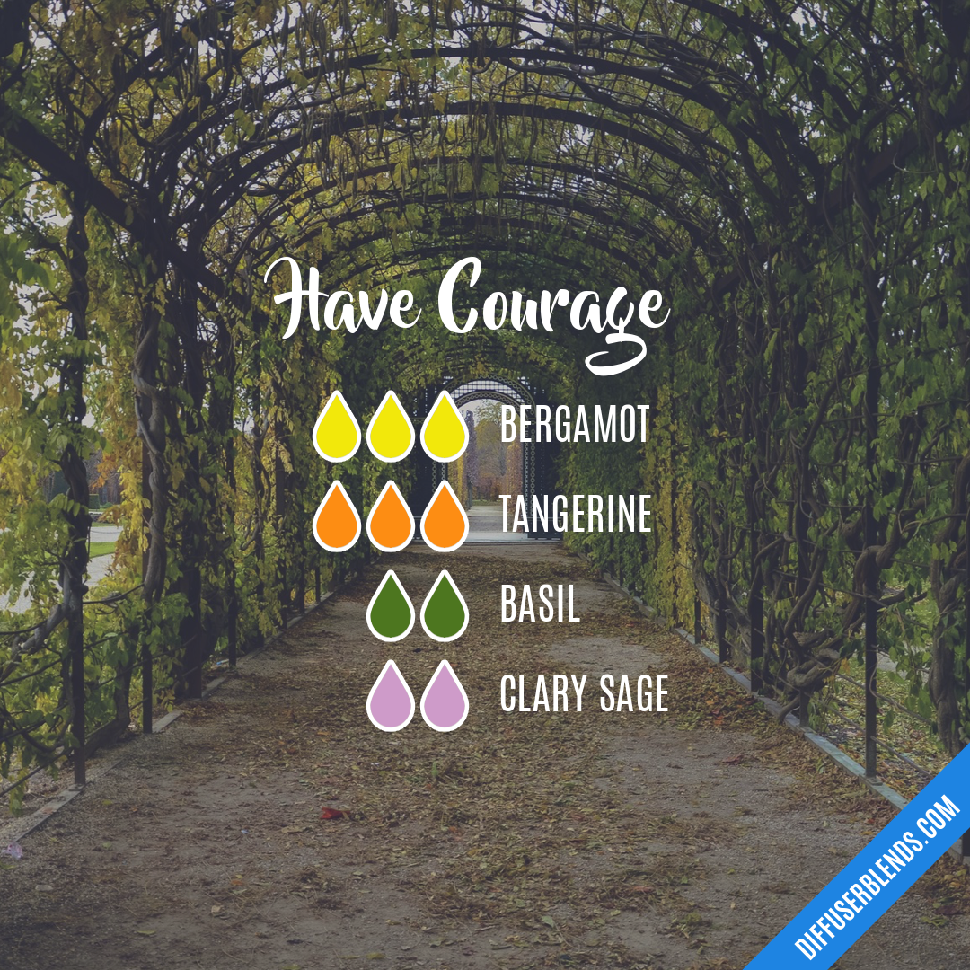 Have Courage | DiffuserBlends.com
