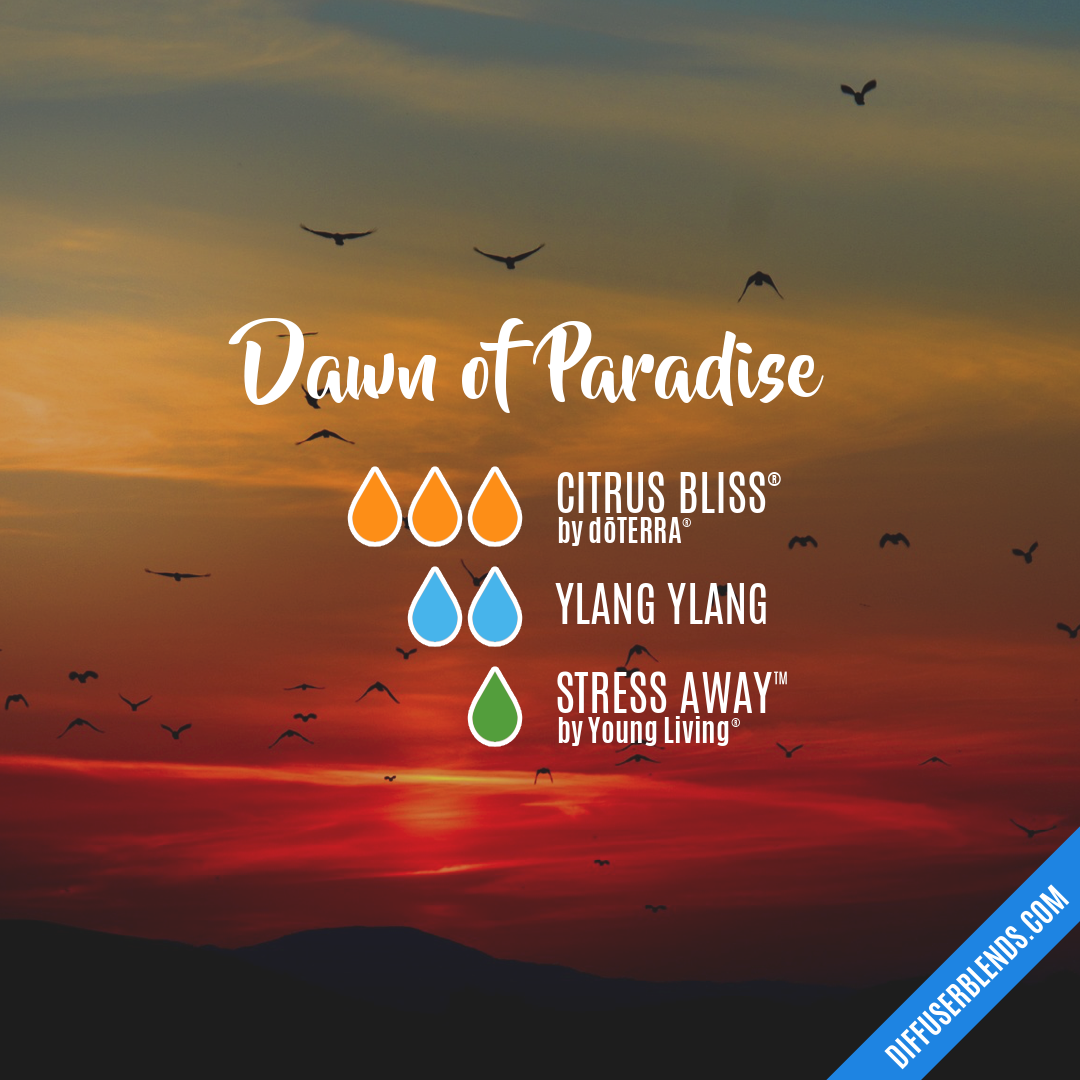 Dawn of Paradise | DiffuserBlends.com