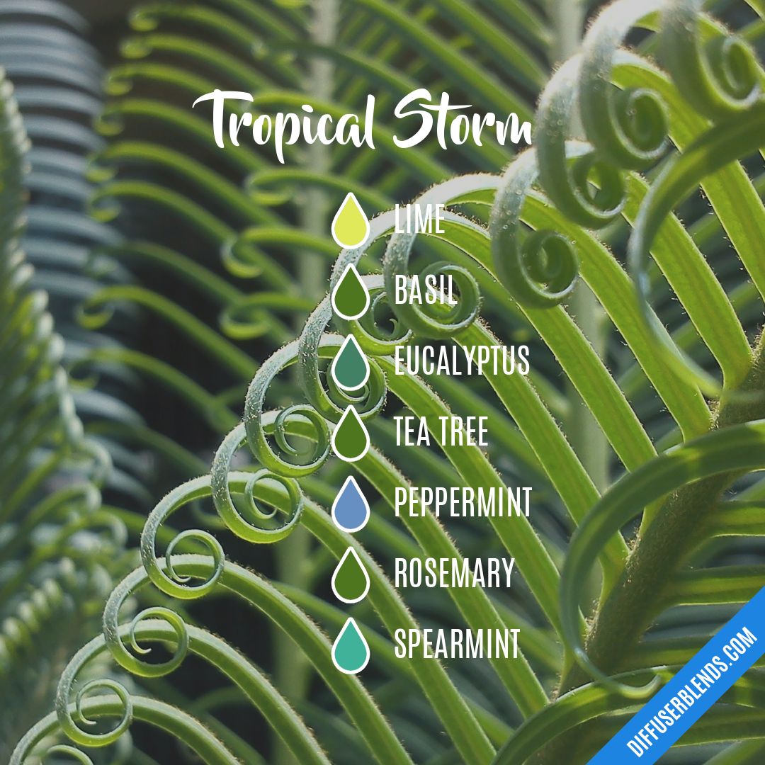 Tropical Storm | DiffuserBlends.com