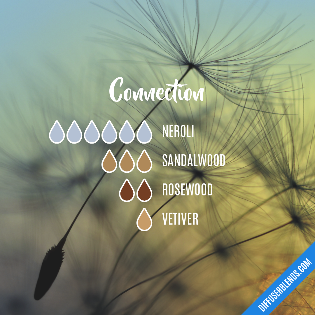 Connection | DiffuserBlends.com